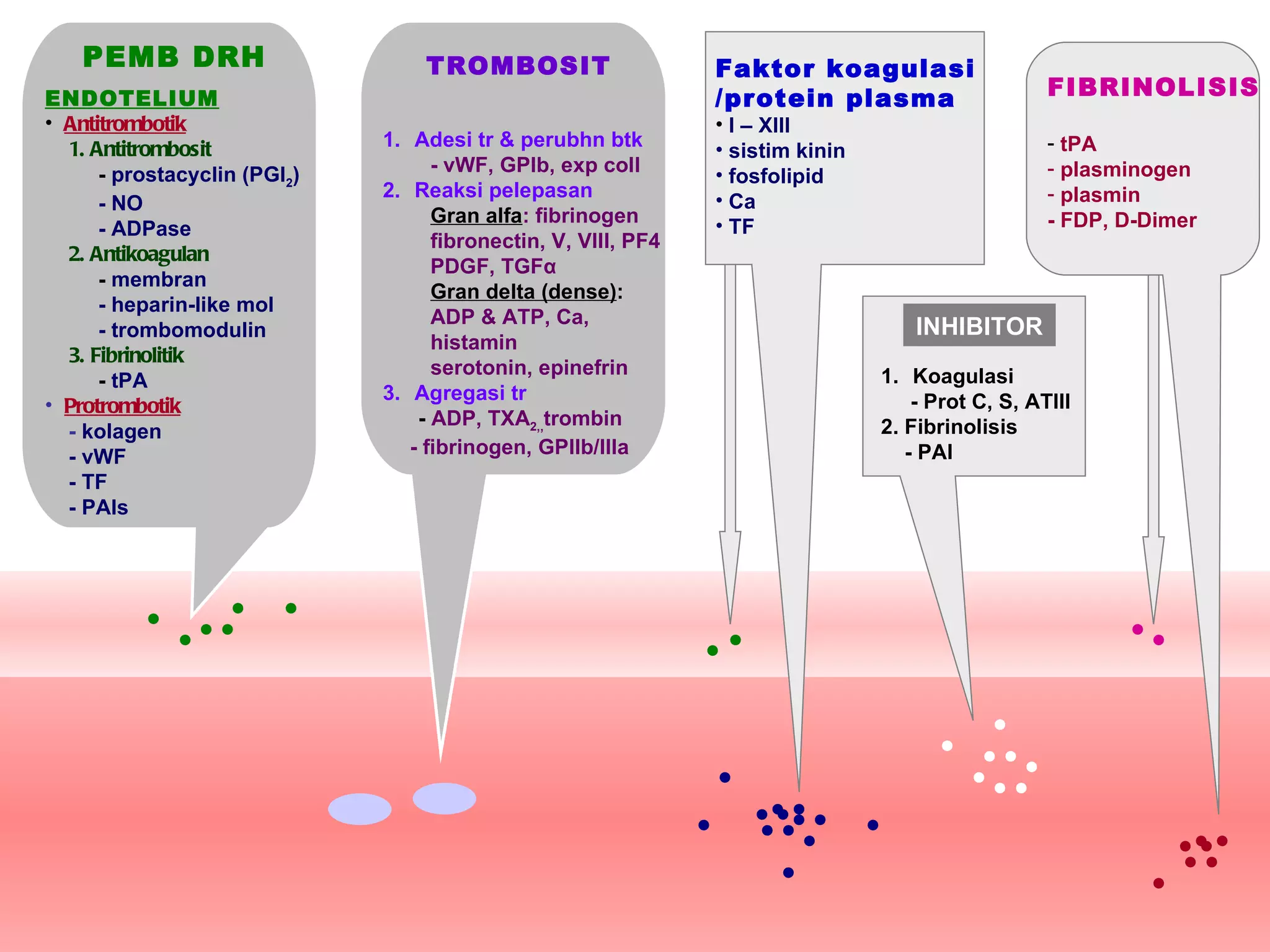 Hemostasis uii | PPT