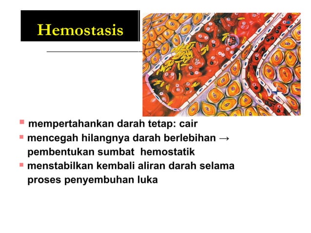 Hemostasis uii | PPT