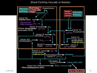 Hemostasis : Blood clotting | PPTX