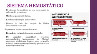Hemostasis veterinaria | PPTX