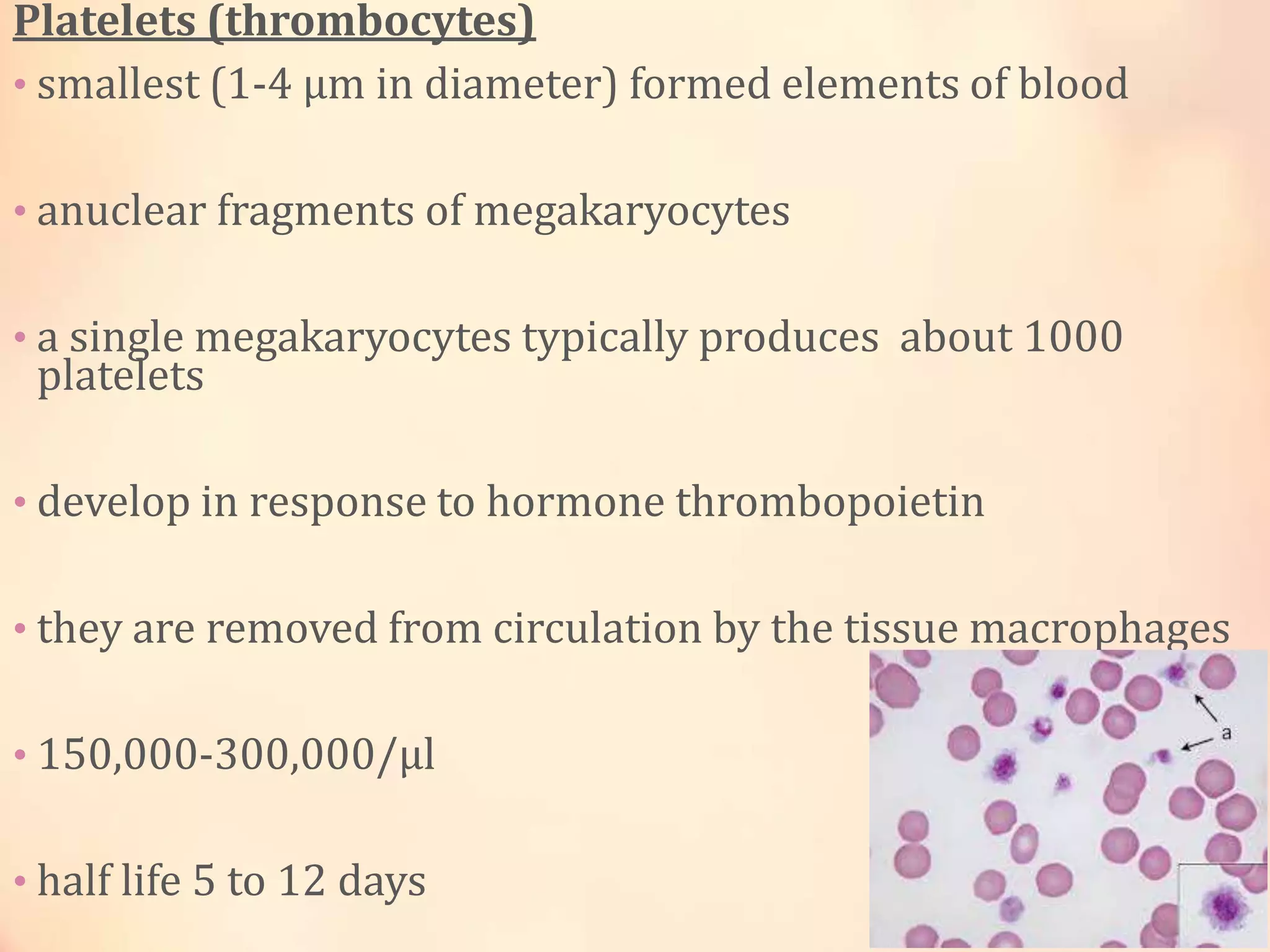 Hemostasis | PPTX