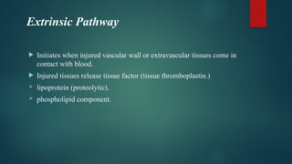 Hemostasis and blood coagulation.p ptx | PPT