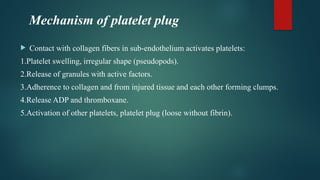 Hemostasis and blood coagulation.p ptx | PPT