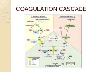 Hemostasis and blood coagulation general pathology | PPTX