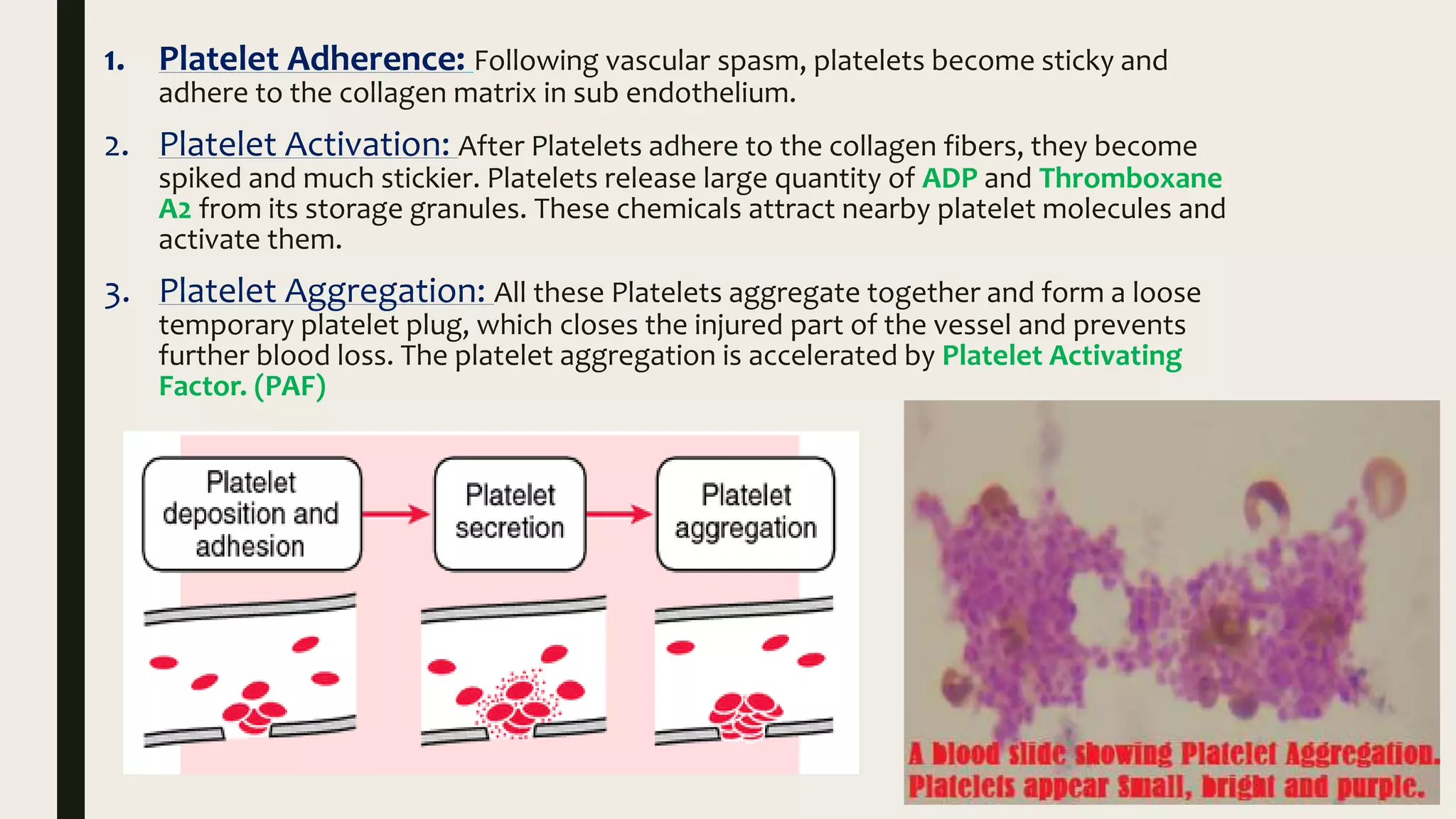 Hemostasis and coagulation faiz khan | PPTX