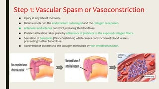 Hemostasis and coagulation faiz khan | PPT