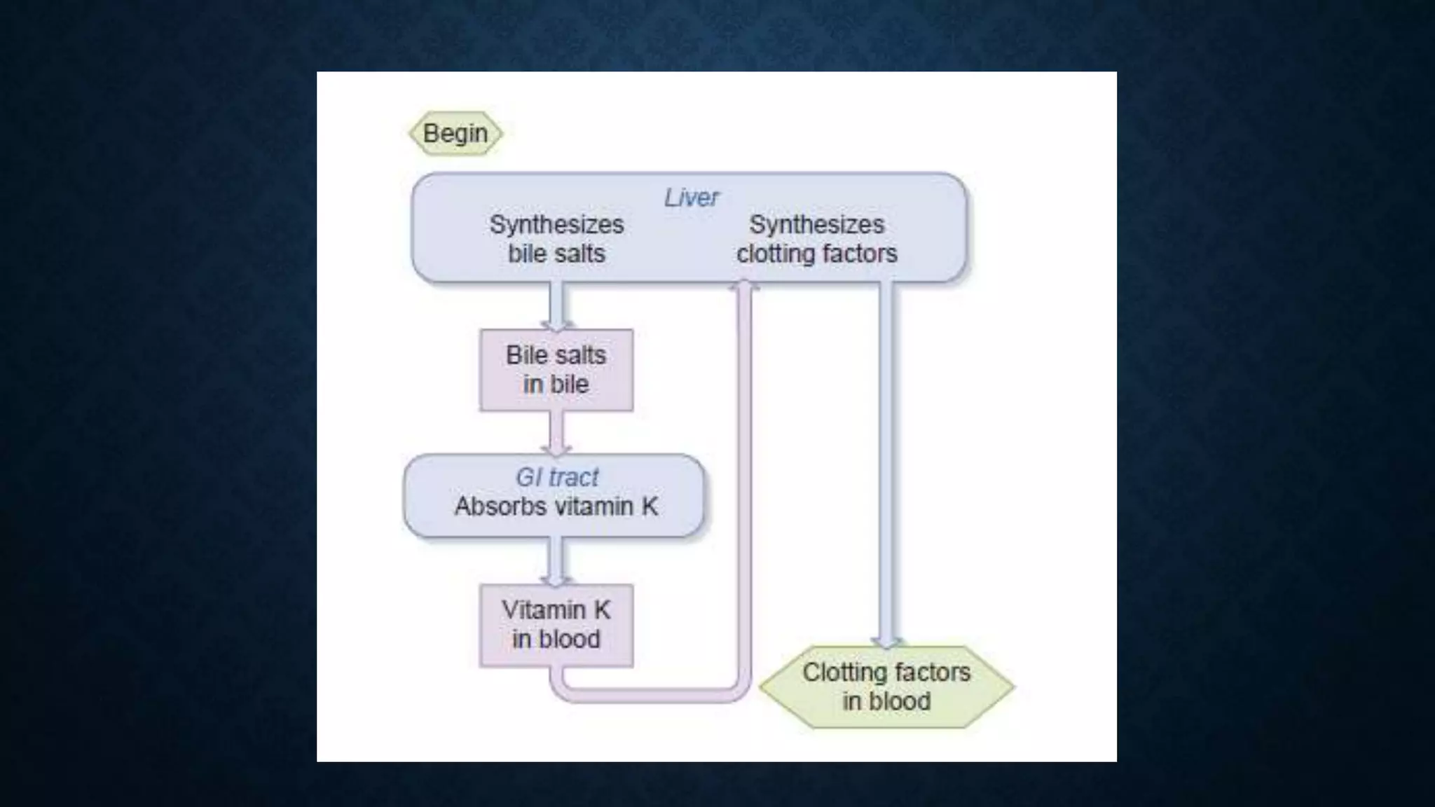 Hemostasis and coagulation of blood For M.Sc & Basic Medical Students ...
