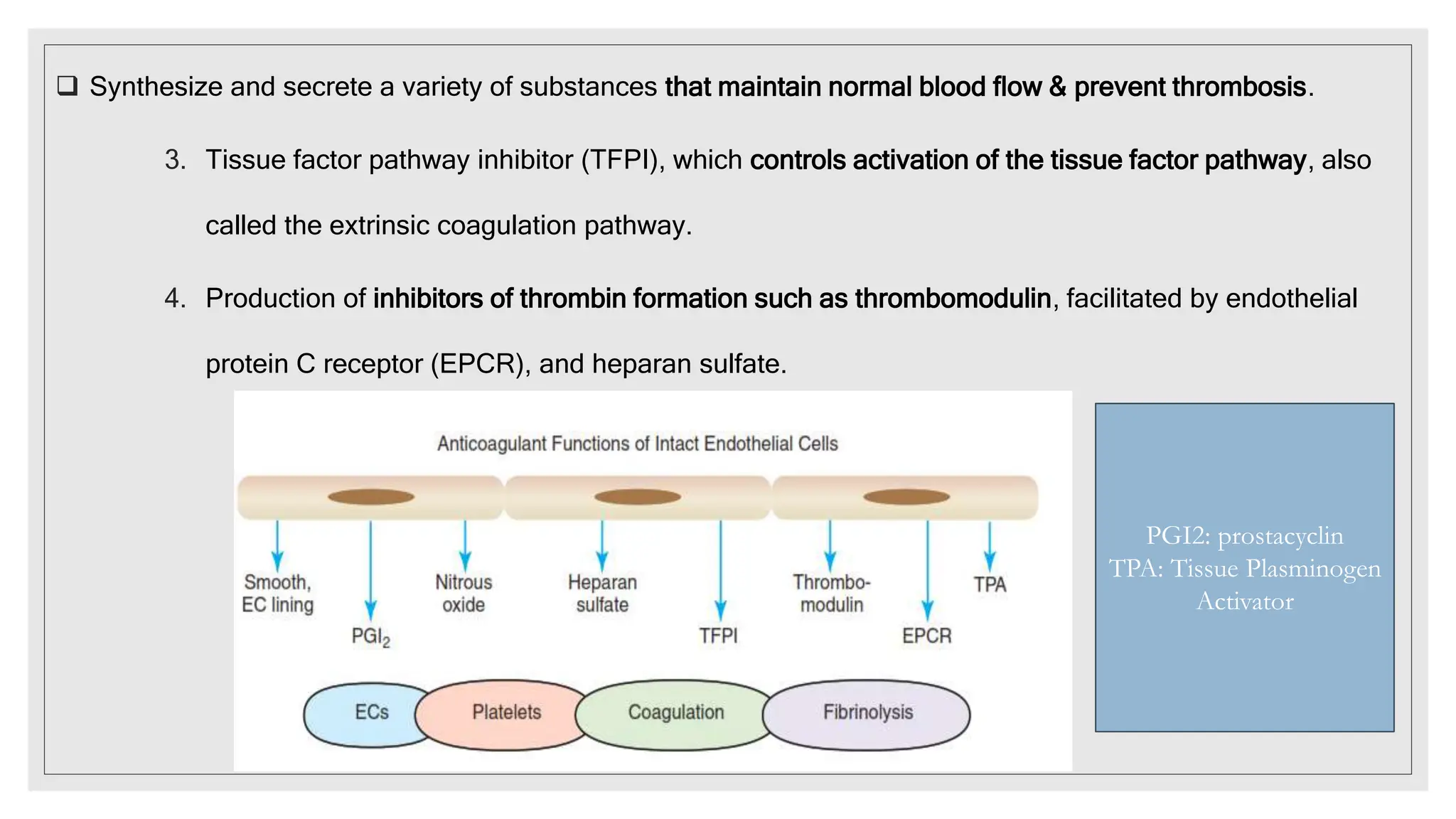 HEMOSTASIS & ANTICOAGULANTS document pptx | PPTX