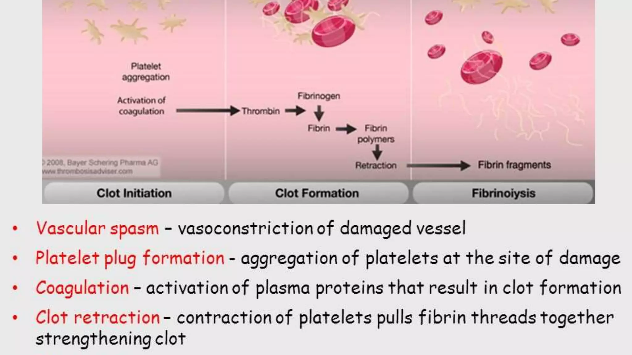 Hemostasis, bleeding, Shock.pptx | Blood Disorders | Diseases and ...