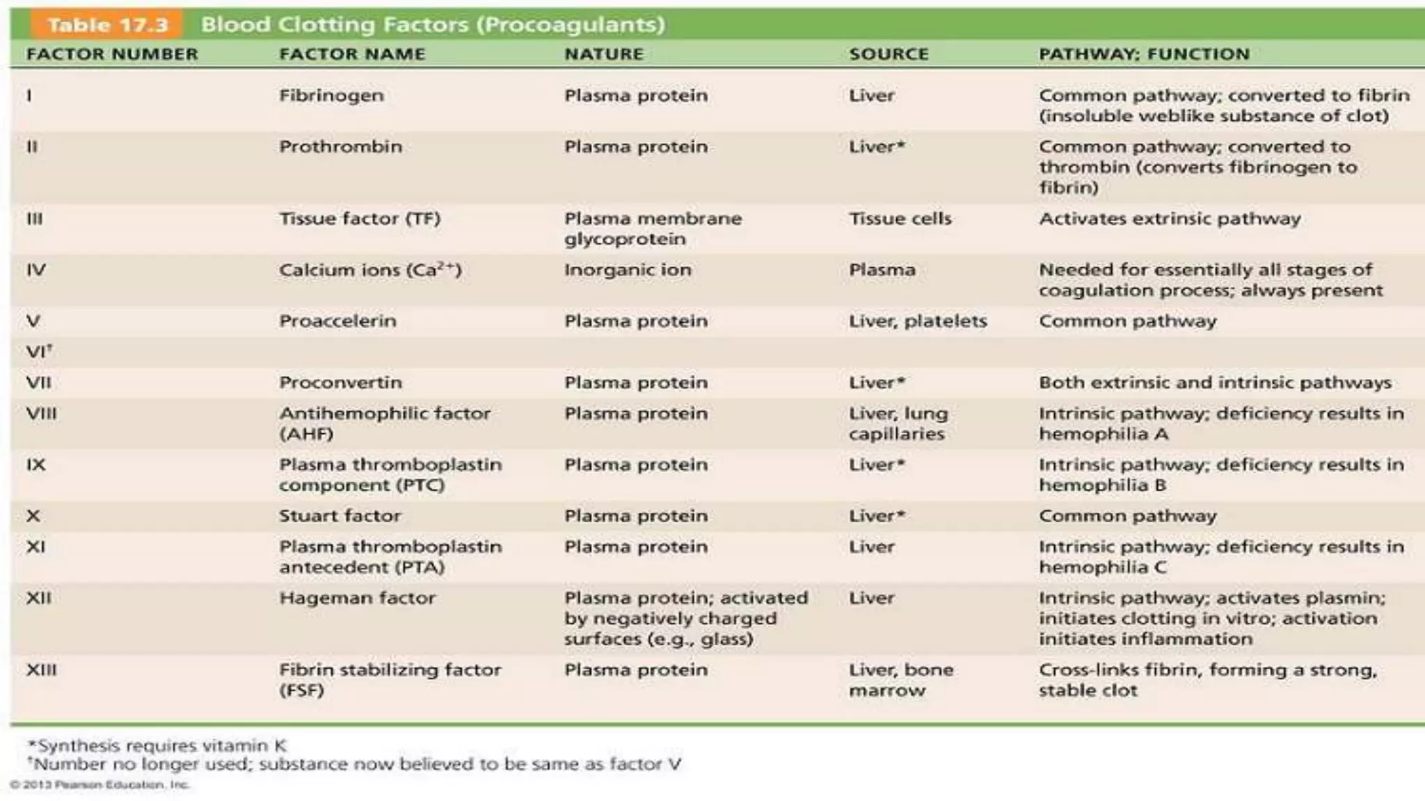 Hemostasis, bleeding, Shock.pptx | Blood Disorders | Diseases and ...