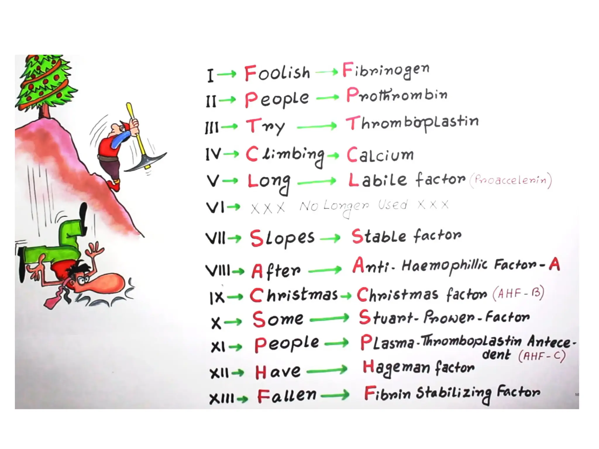 Hemostasis, (Blood clotting), Blood Coagulation, Clot retraction. pptx ...