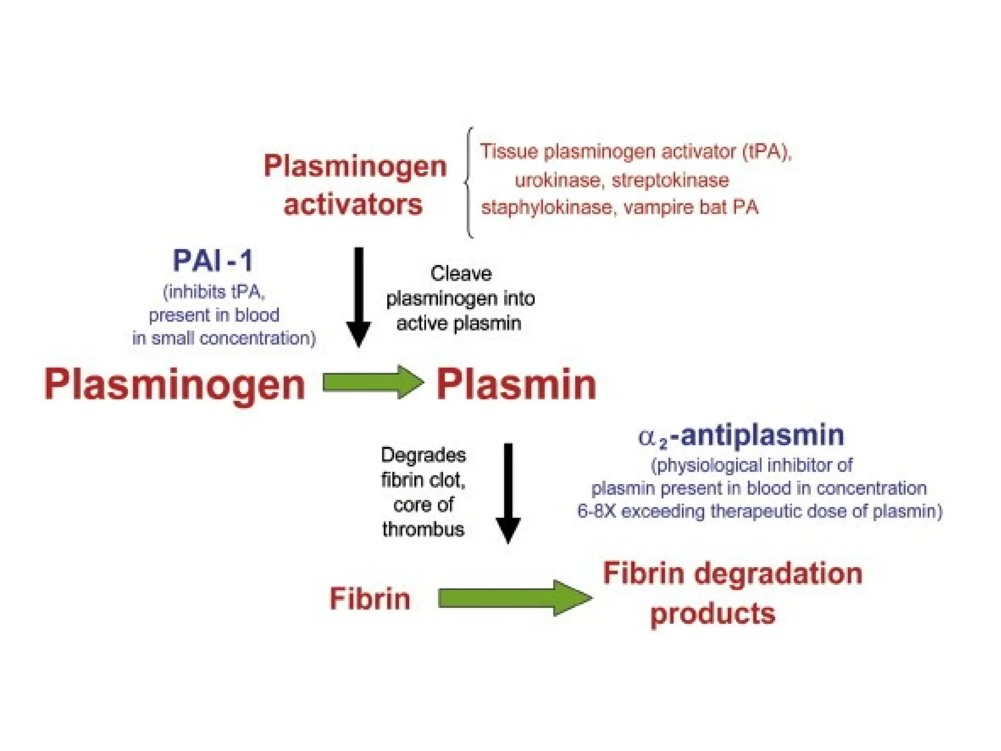 Hemostasis, (Blood clotting), Blood Coagulation, Clot retraction. pptx ...