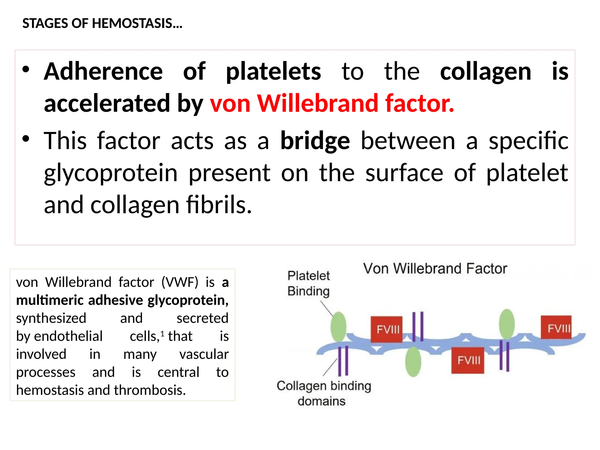 Hemostasis, (Blood clotting), Blood Coagulation, Clot retraction. pptx ...