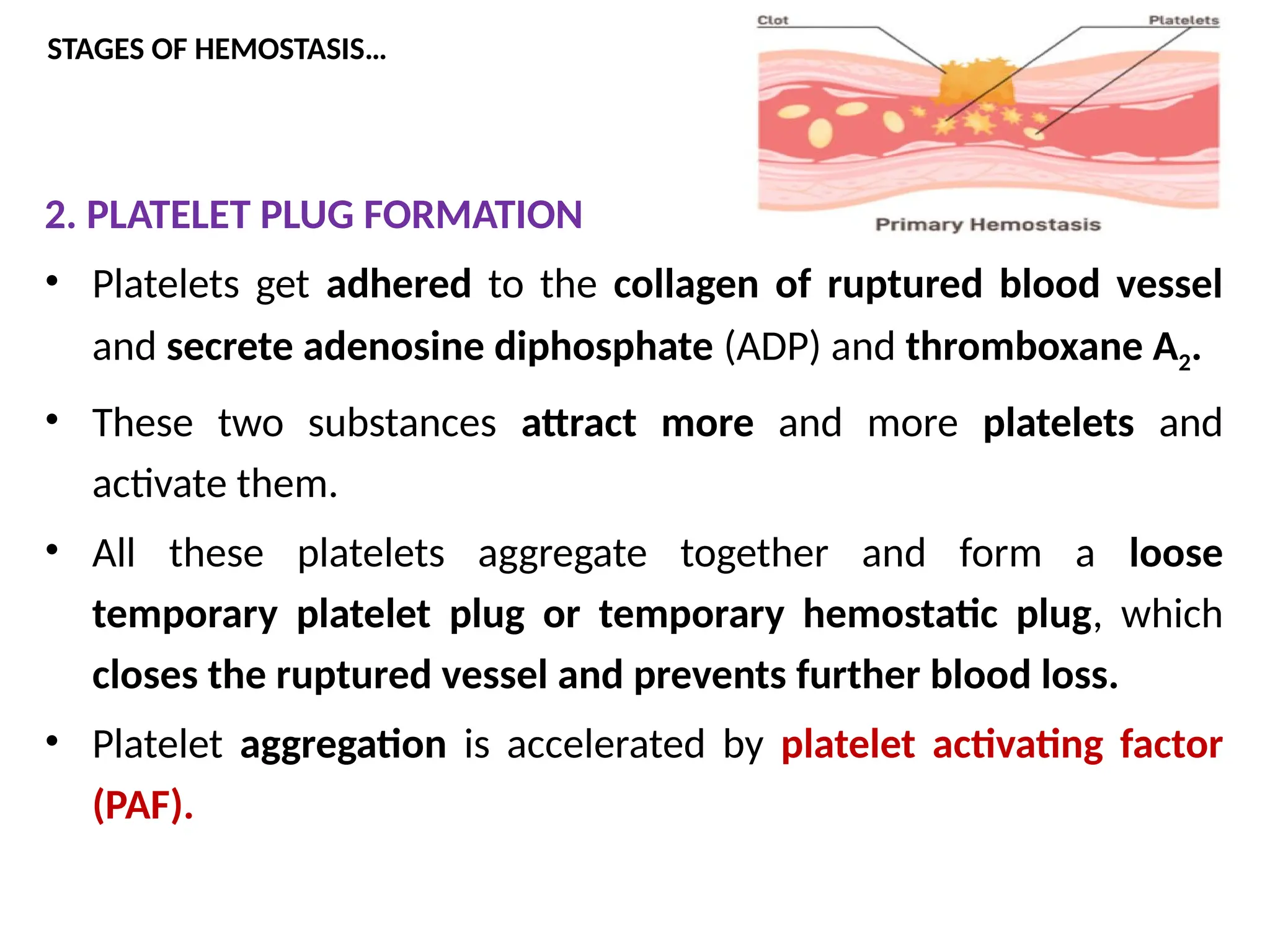 Hemostasis, (Blood clotting), Blood Coagulation, Clot retraction. pptx ...