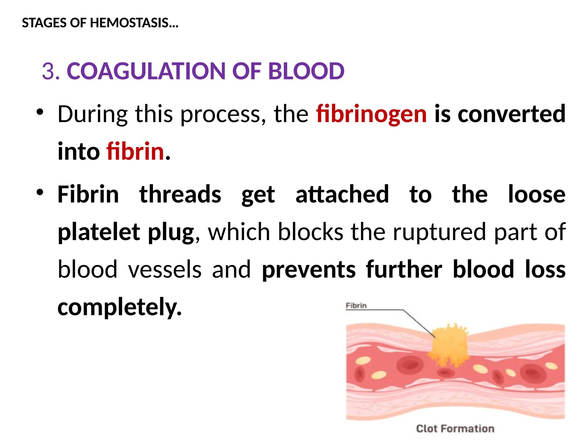 Hemostasis, (Blood clotting), Blood Coagulation, Clot retraction. pptx ...