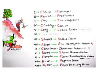 Hemostasis, (Blood clotting), Blood Coagulation, Clot retraction. pptx ...