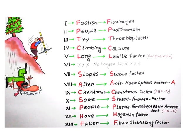 Hemostasis, (Blood clotting), Blood Coagulation, Clot retraction. pptx ...