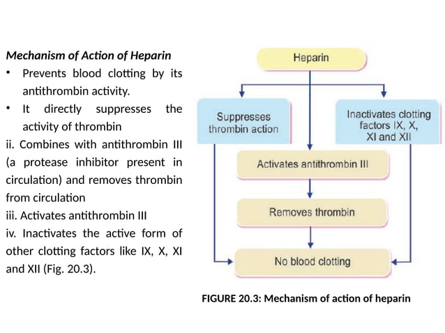 Hemostasis, (Blood clotting), Blood Coagulation, Clot retraction. pptx ...