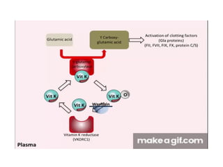 Hemostasis, (Blood clotting), Blood Coagulation, Clot retraction. pptx ...