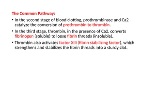Homeostasis,HEMOSTASIS, BLOOD GROUPING.pptx