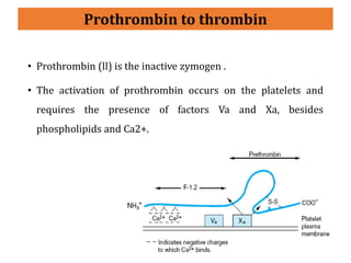 Hemostasis, cloting mechanis | PPT