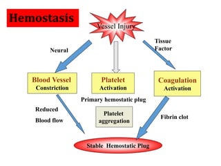 Hemostasis, cloting mechanis | PPT