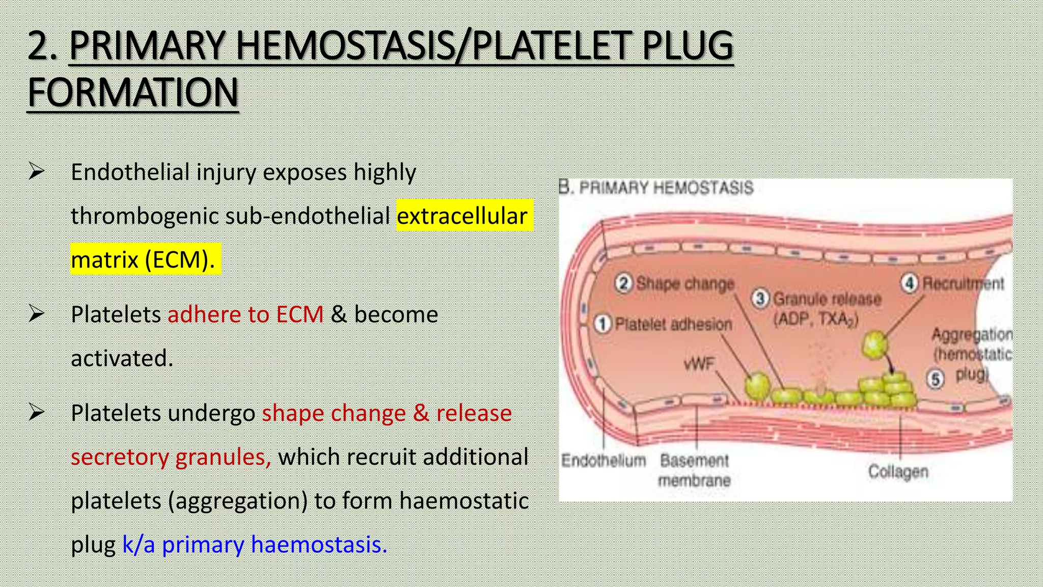 HEMOSTASIS & COAGULATION.pptx