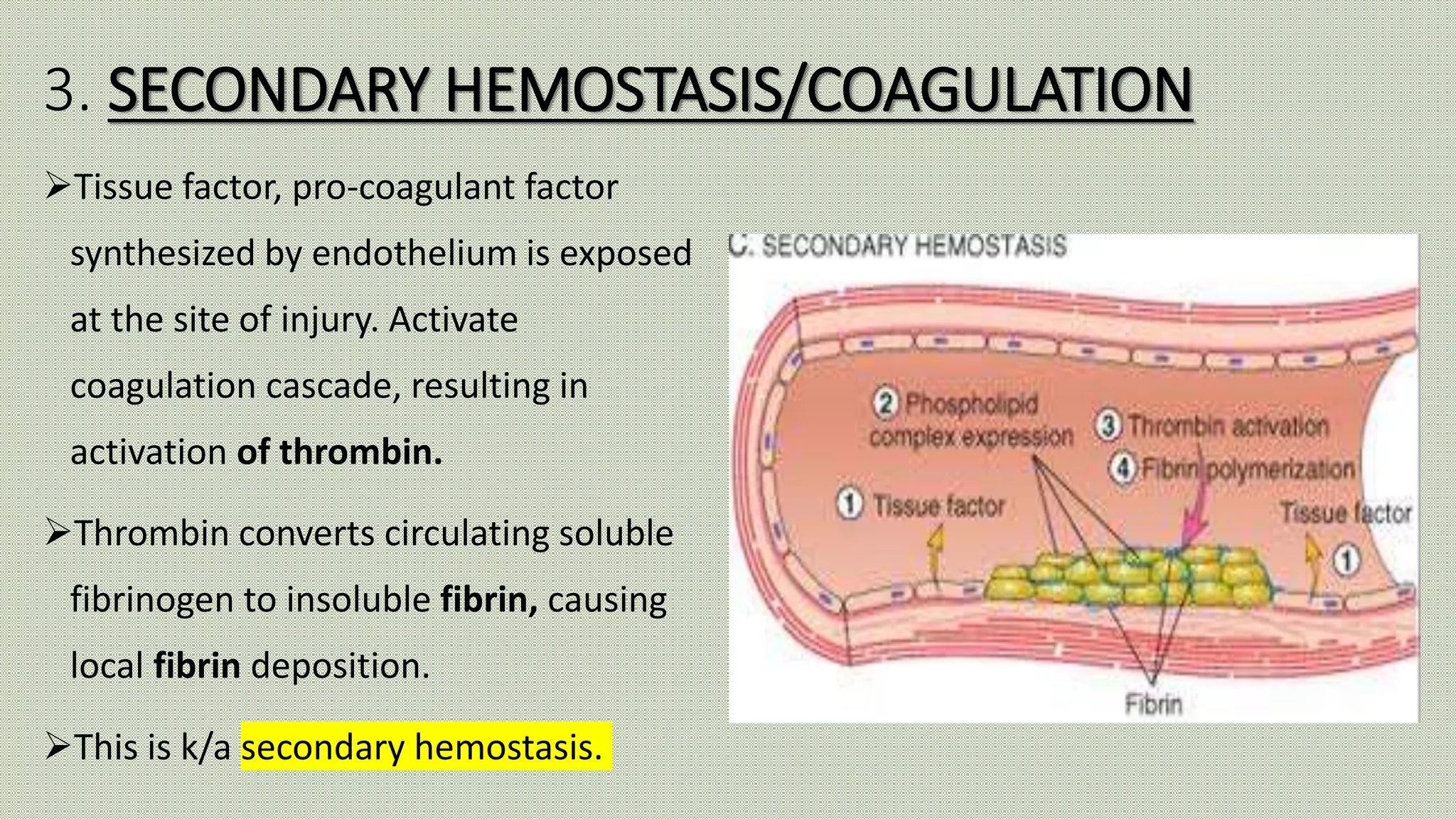 HEMOSTASIS & COAGULATION.pptx