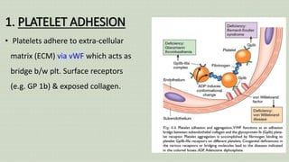 HEMOSTASIS & COAGULATION.pptx