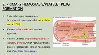 HEMOSTASIS & COAGULATION.pptx