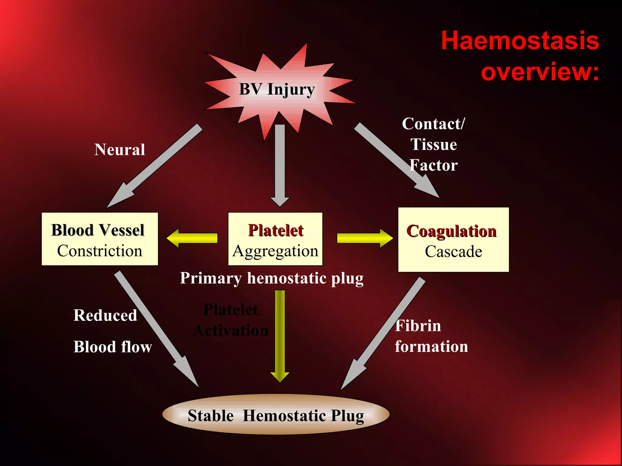 Hemostasis Disorders | PPT