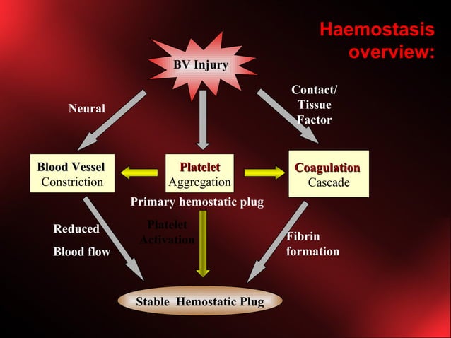 Hemostasis Disorders | PPT