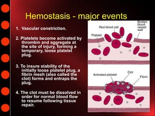 Hemostasis Disorders | PPT