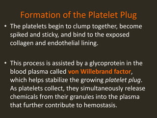 Hemostasis in txa | PPTX