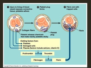 Hemostasis in txa | PPTX