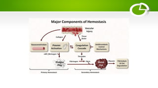 Hemostasis, Koagulasi, Perdarahan AB.pptx