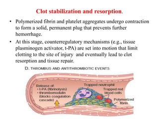Hemostasis of blood | PPTX