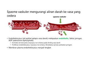 Hemostasis _ pembekuan darah, golongan darah.docx