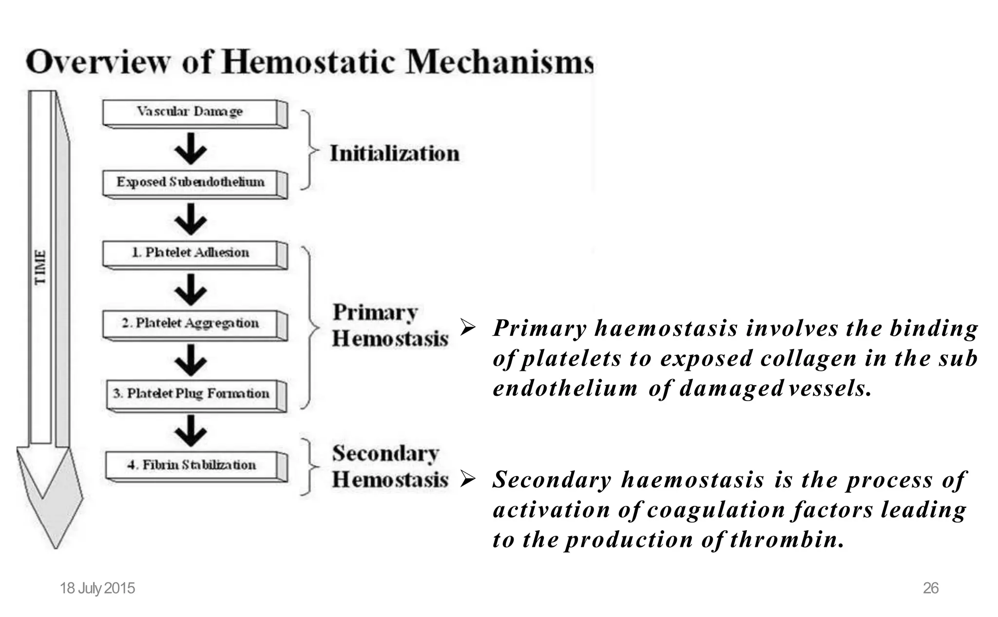 Hemostasis rajiv kumar | PPTX