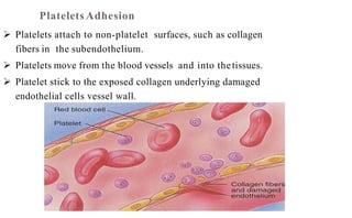 Hemostasis rajiv kumar | PPTX