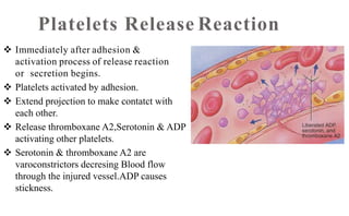 Hemostasis rajiv kumar | PPT