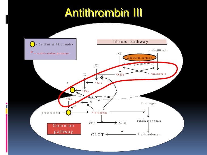 Hemostasis Surgury 2