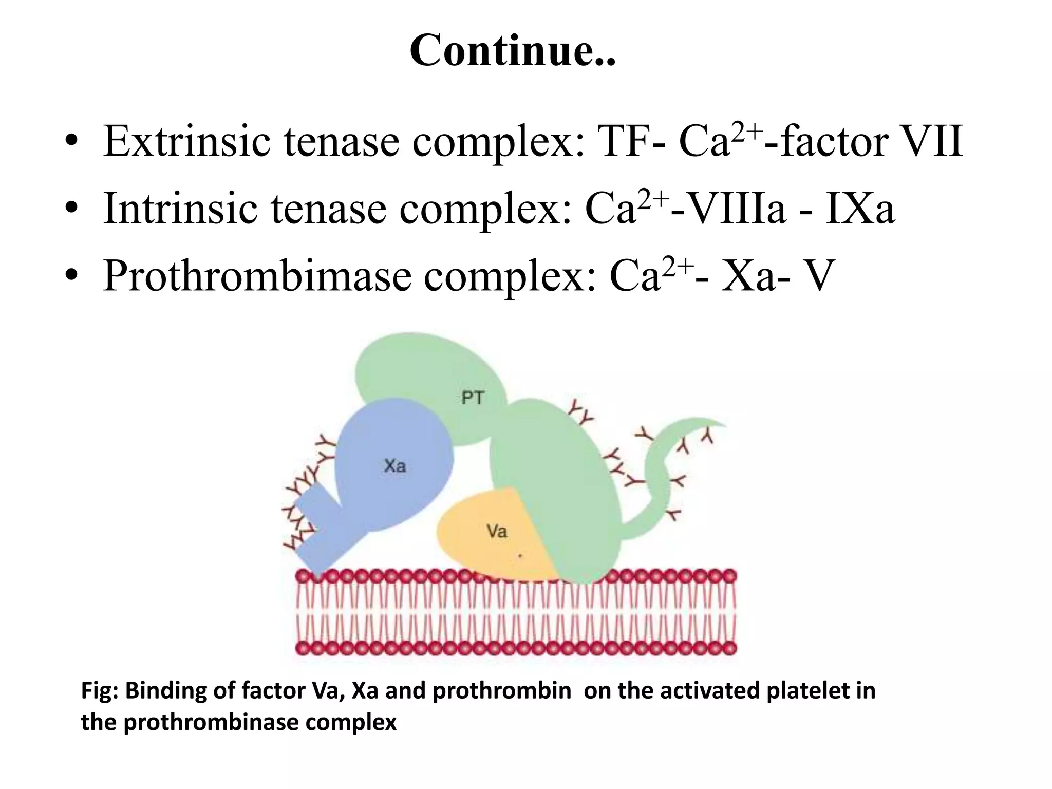 Hemostasis &and thrombosis.ppt