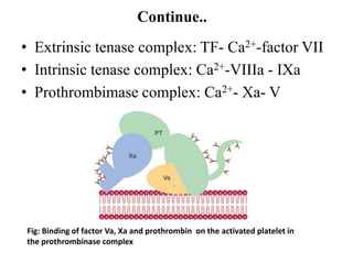 Hemostasis &and thrombosis.ppt