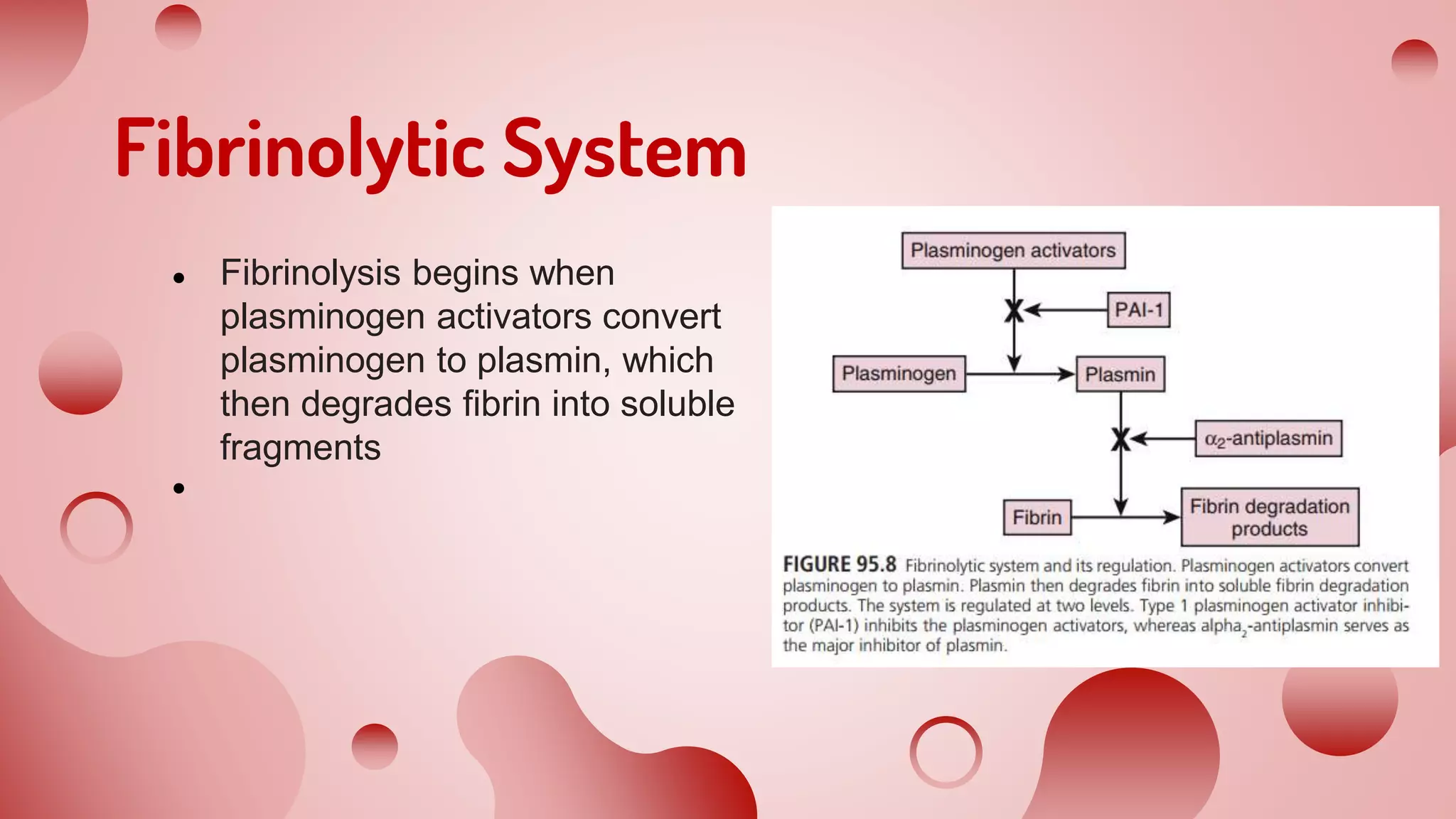 Hemostasis, Thrombosis, Fibrinolysis, and Cardiovascular Disease - Copy ...