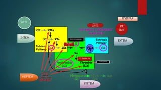 Haemostatic Resuscitation | PPTX