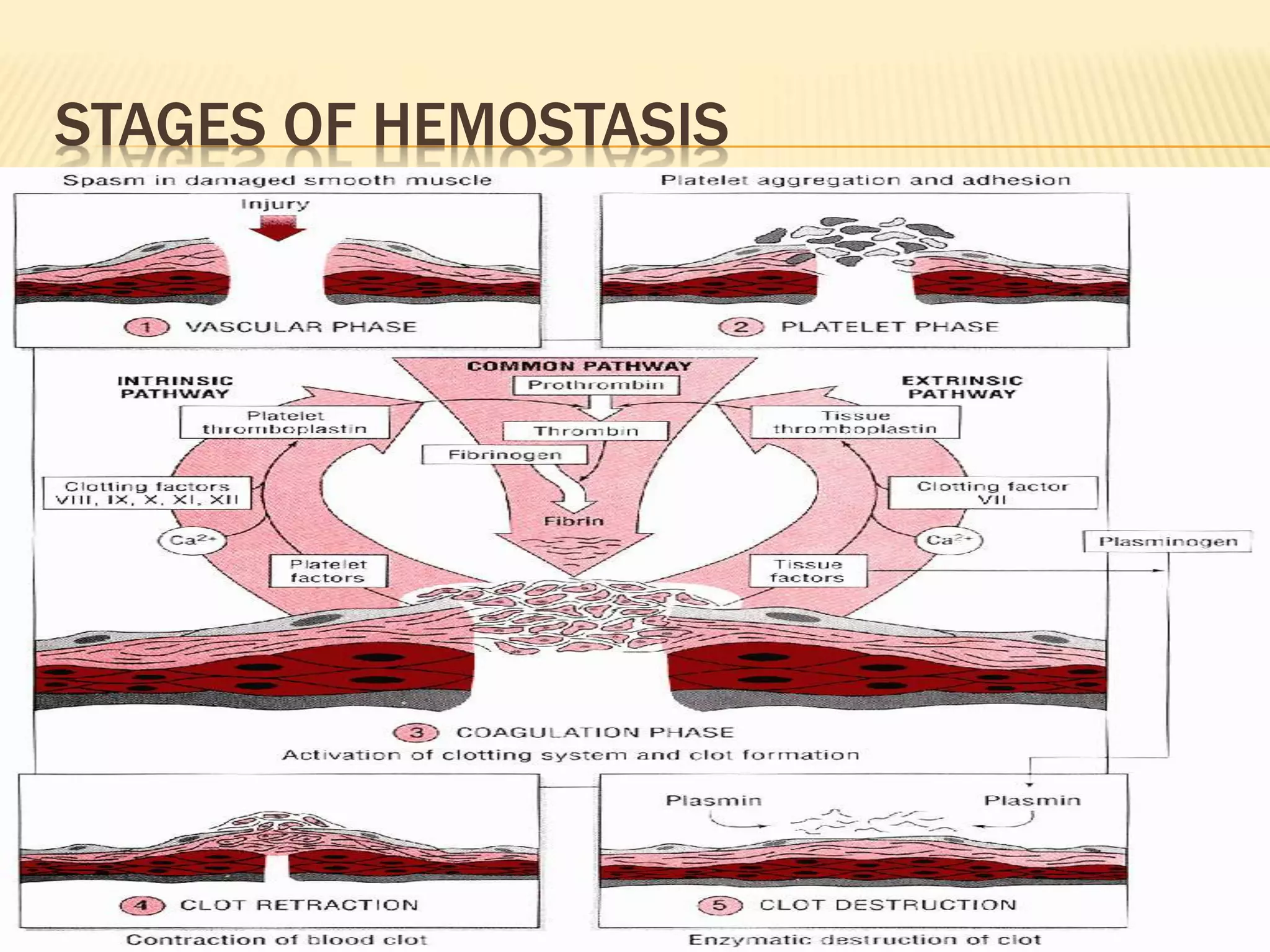 Hemostatsis & blood transfusion | PPTX