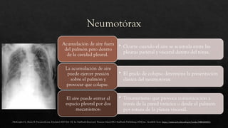 Hemotorax y neumotorax.pptx principales aspectos | PPTX