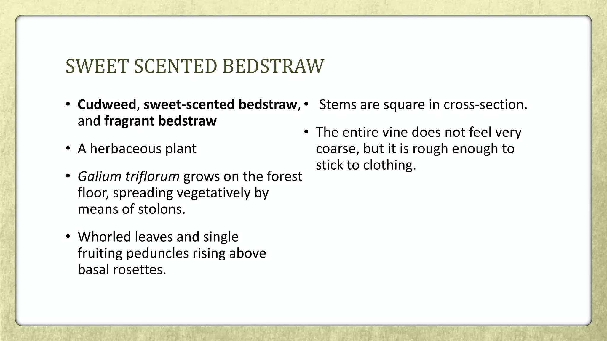 Hemotoxic plants | PPTX