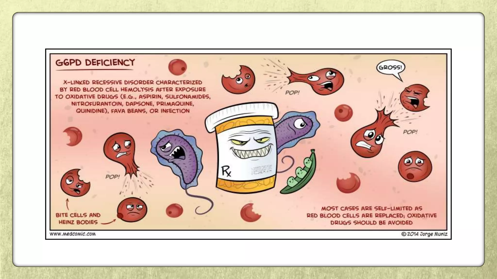 Hemotoxic plants | PPTX